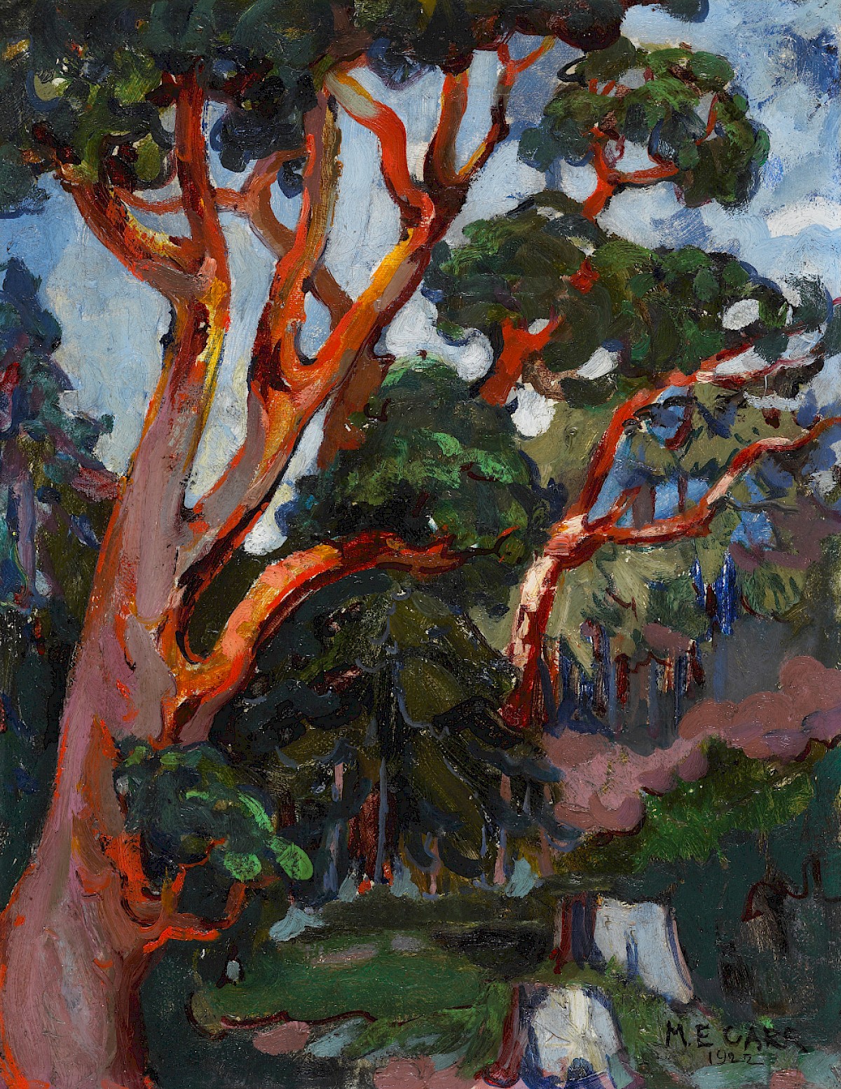 Arbutus Tree by Emily Carr | Obelisk Art History
